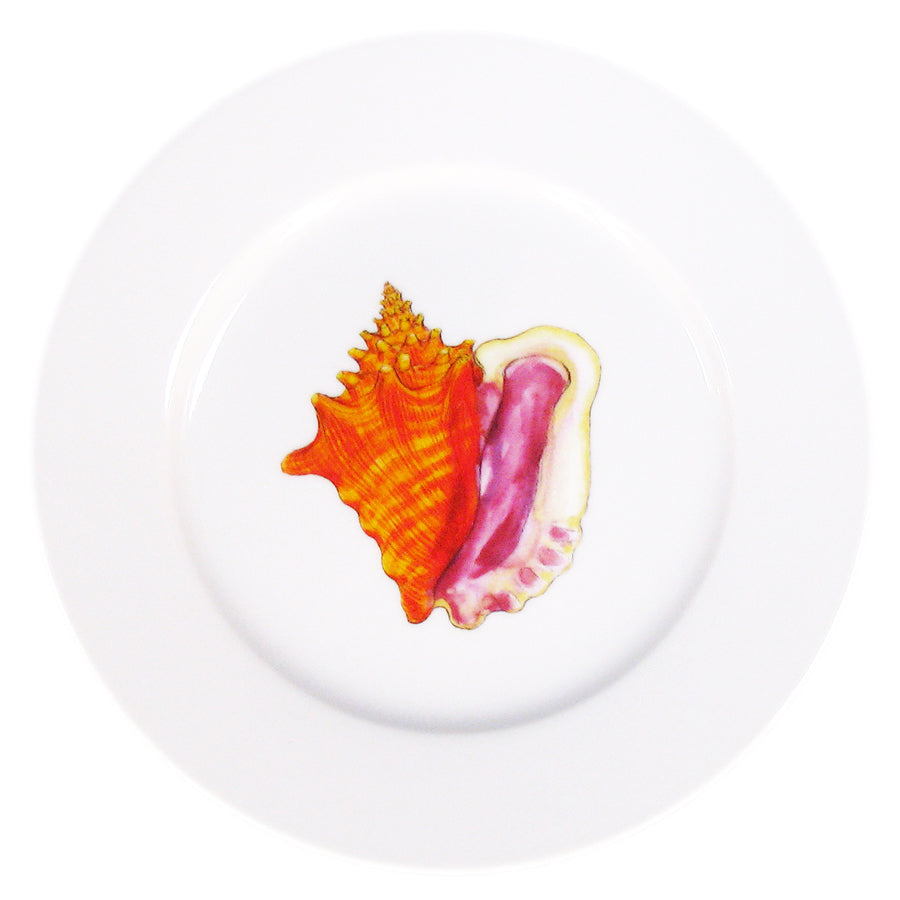 Conch 19cm Flat Rimmed Plate by Richard Bramble — Richard Bramble Store