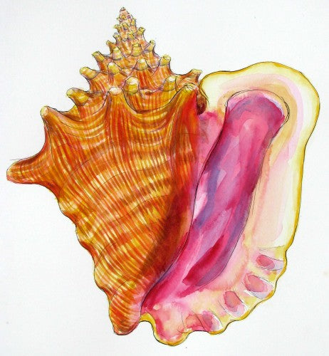 Queen Conch Painting — Richard Bramble Store