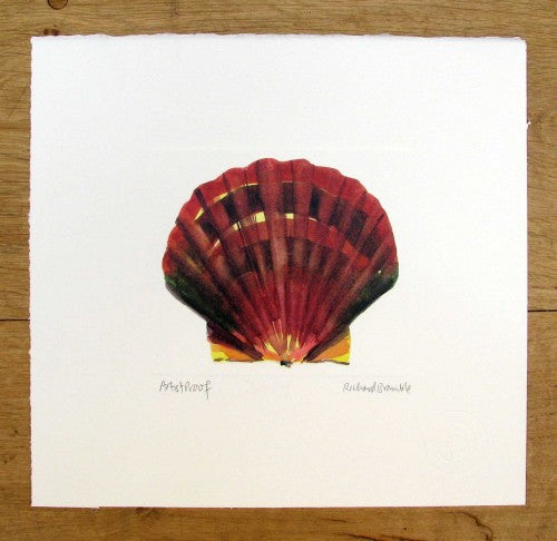 Scallop print by Richard Bramble — Richard Bramble Store