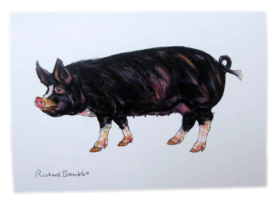 Berkshire Pig Greeting Card Richard Bramble — Richard Bramble Store