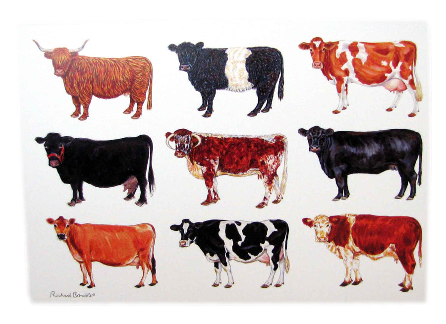 Cows Greeting Card | Richard Bramble — Richard Bramble Store