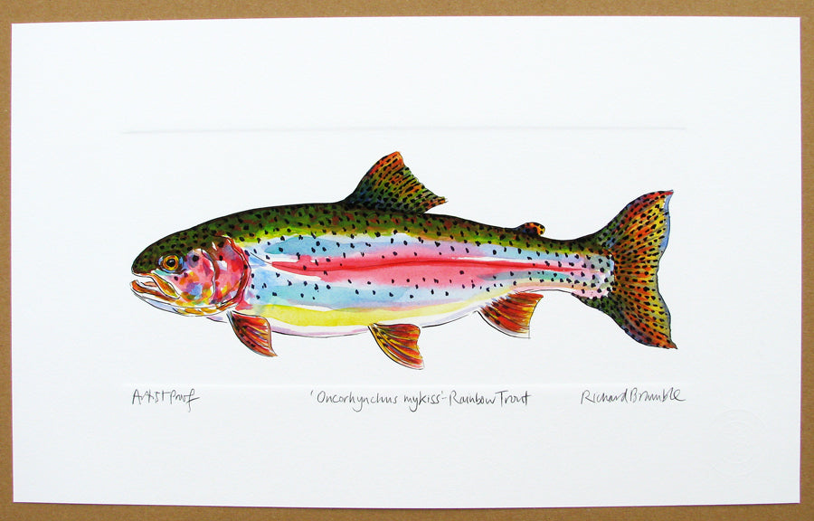 Rainbow Trout Print — Richard Bramble Store