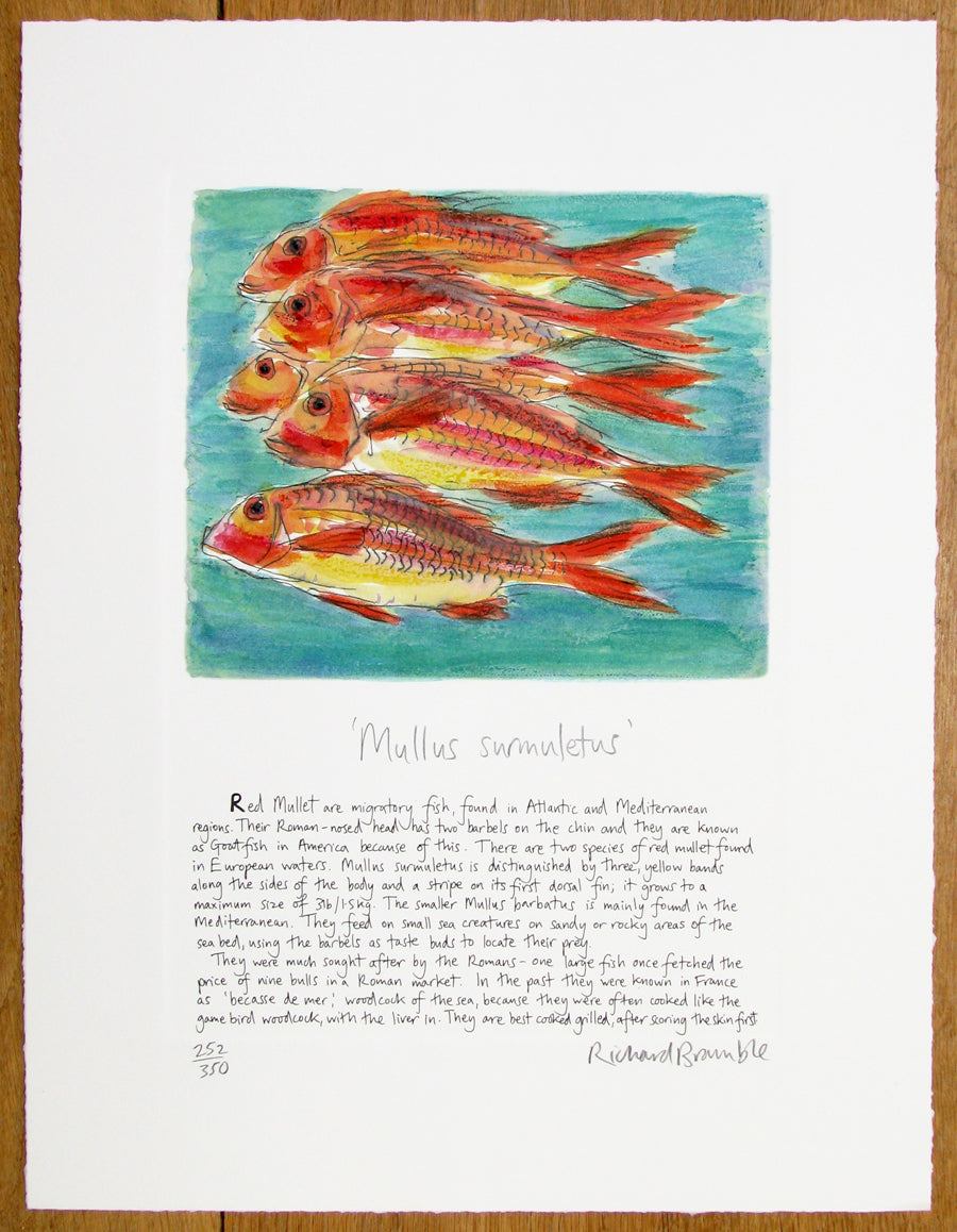 Red Mullet Shoal Print with text Richard Bramble — Richard Bramble Store
