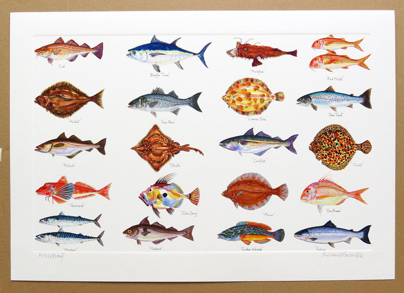 fish identification uk