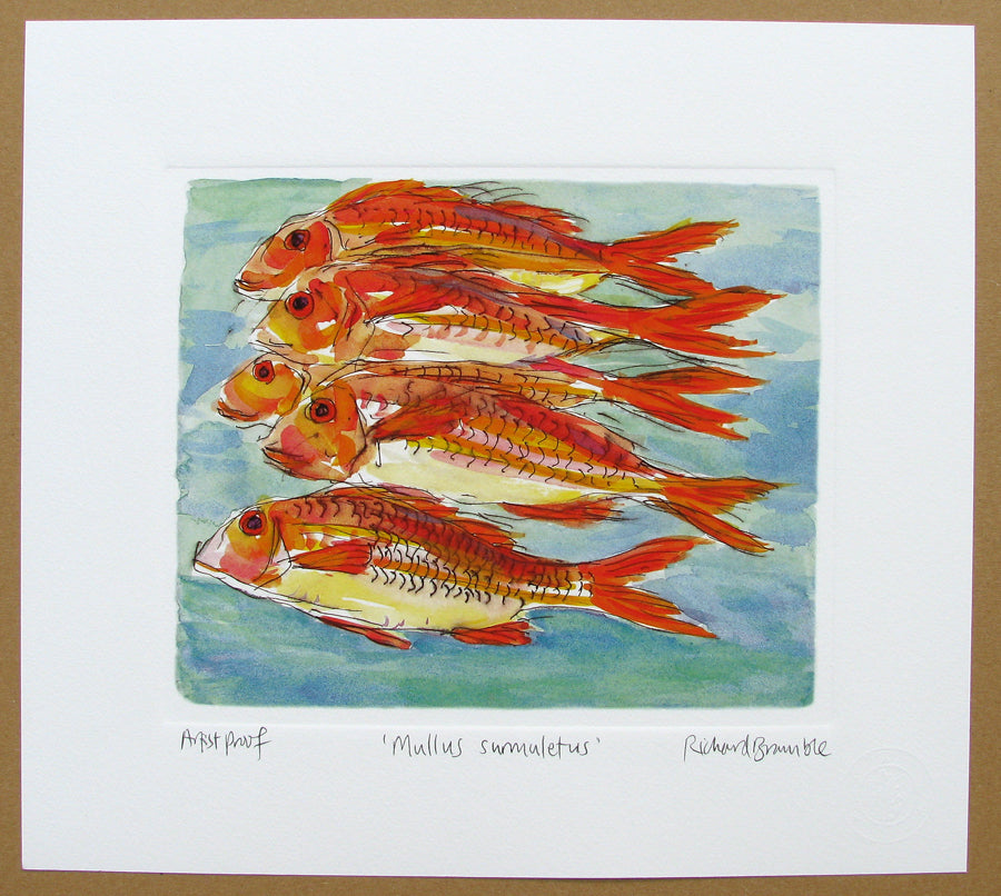 Shoal of Red Mullet Print, no text by Richard Bramble — Richard Bramble ...