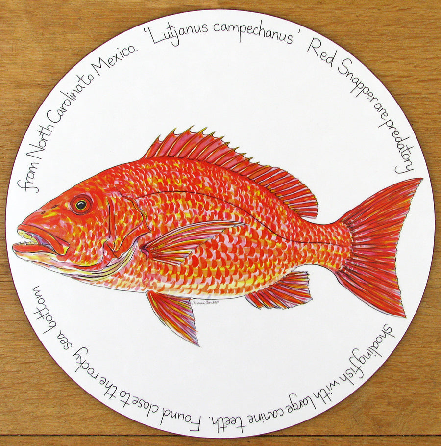 Red Snapper Tablemat | Richard Bramble — Richard Bramble Store